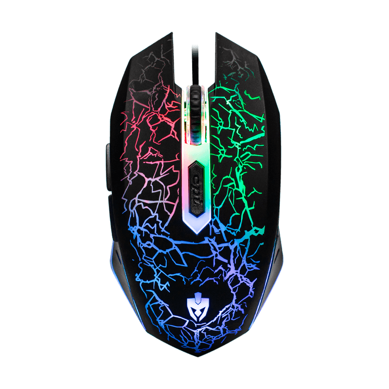 Rayden – Evolut Gamer